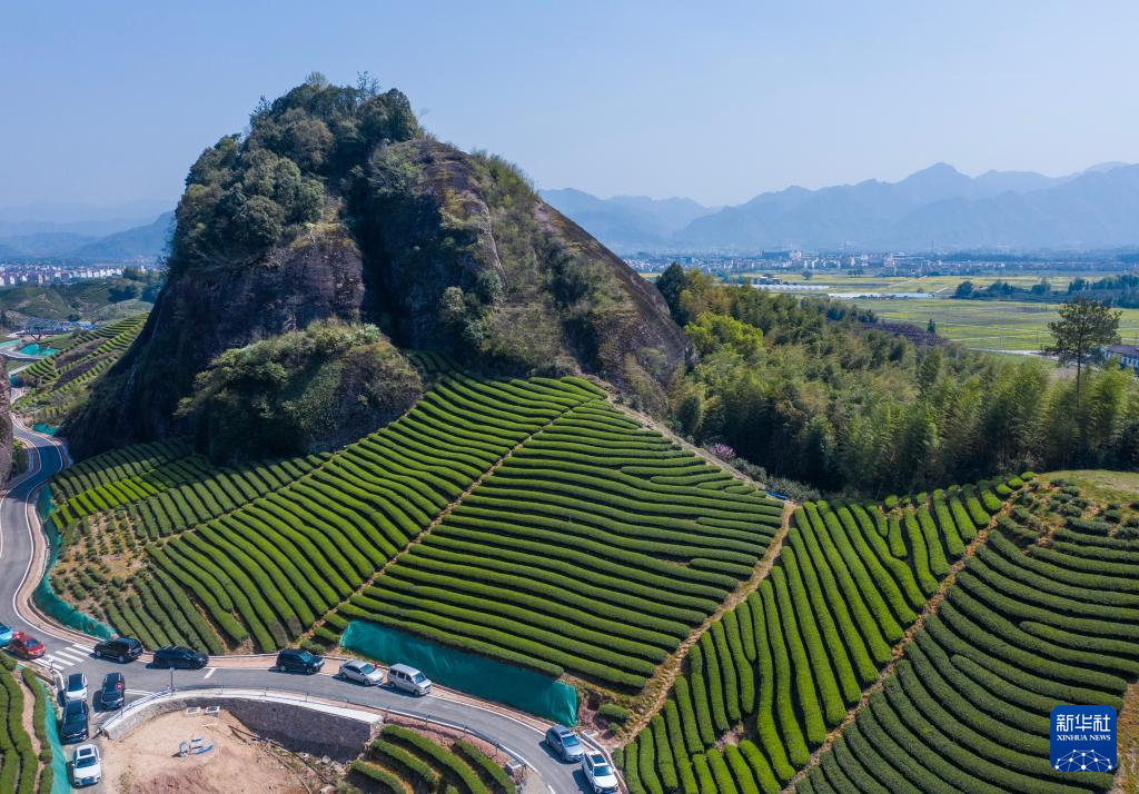 浙江武义：有机茶乡春季茶旅融合促消费-新华网
